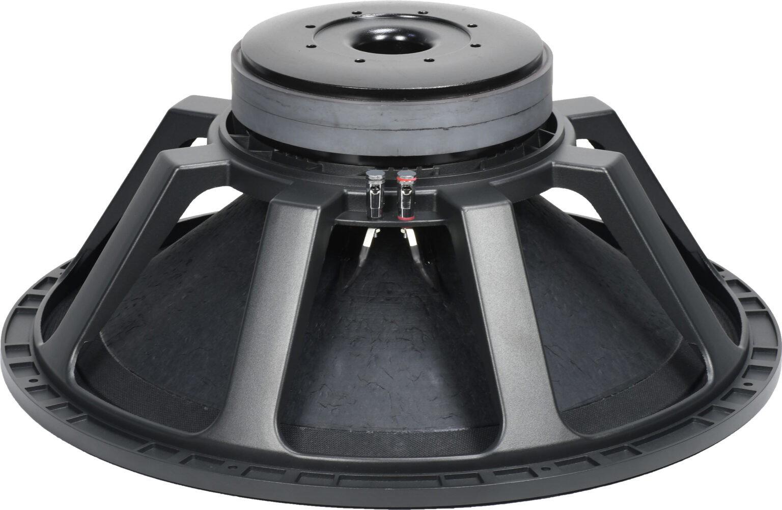 2500W RMS PW21F Pro Audio 21 Inch Subwoofer with 5 Inch Voice Coil for ...